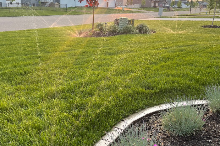 Irrigation How-To’s | Expert Tips for Efficient Lawn Care